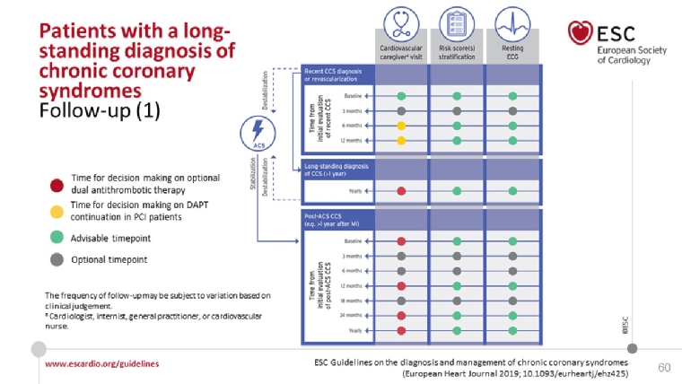Commentary on the new ESC Guidelines on Chronic Coronary Syndromes